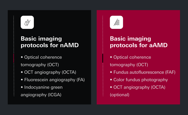 Protocol for Classifying and Monitoring AMD Patients - Media MICE